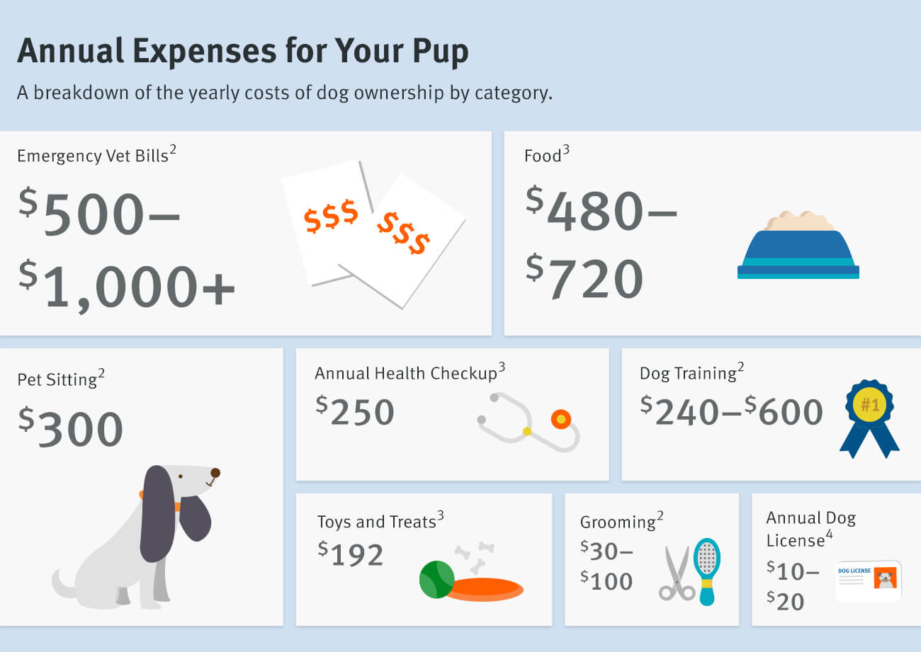 Managing the High Cost of Owning a Dog | Discover